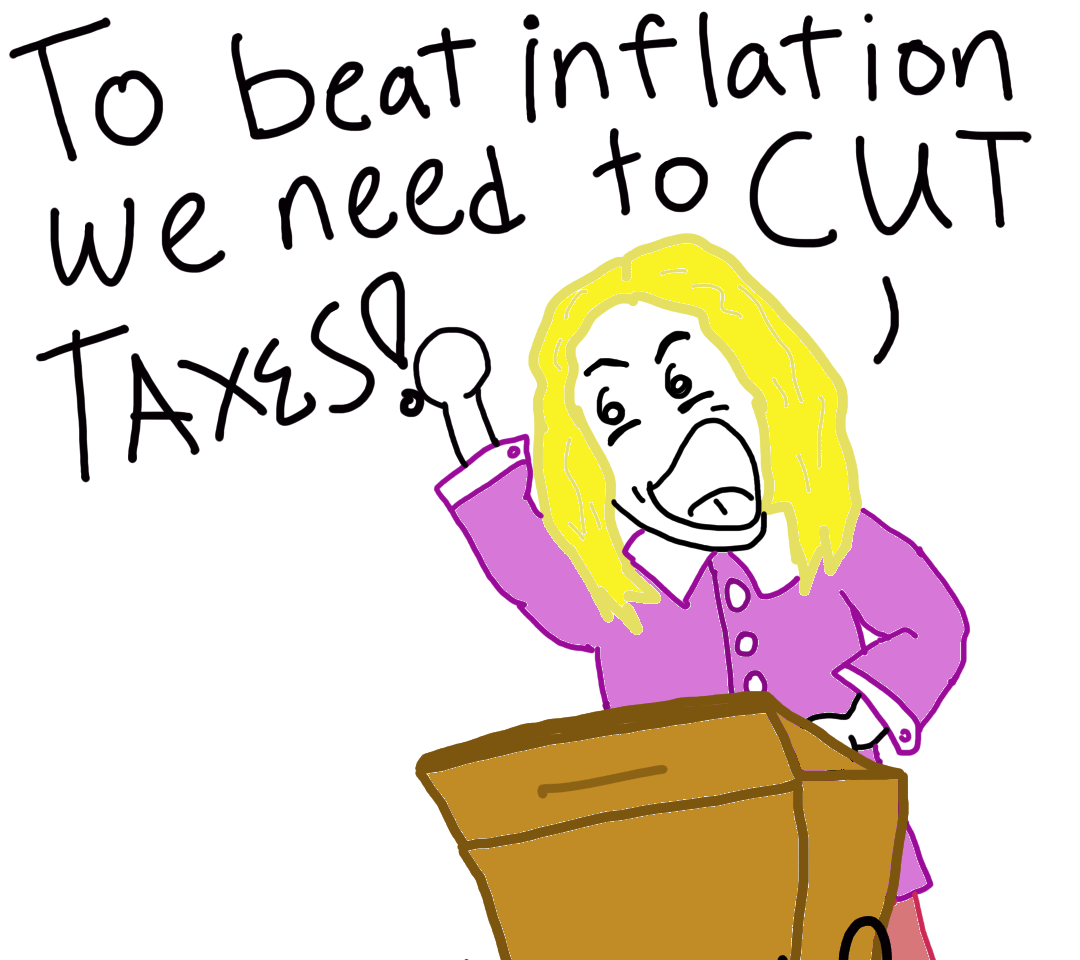 Comic: Tax cuts to beat inflation! - The Comic Accountant